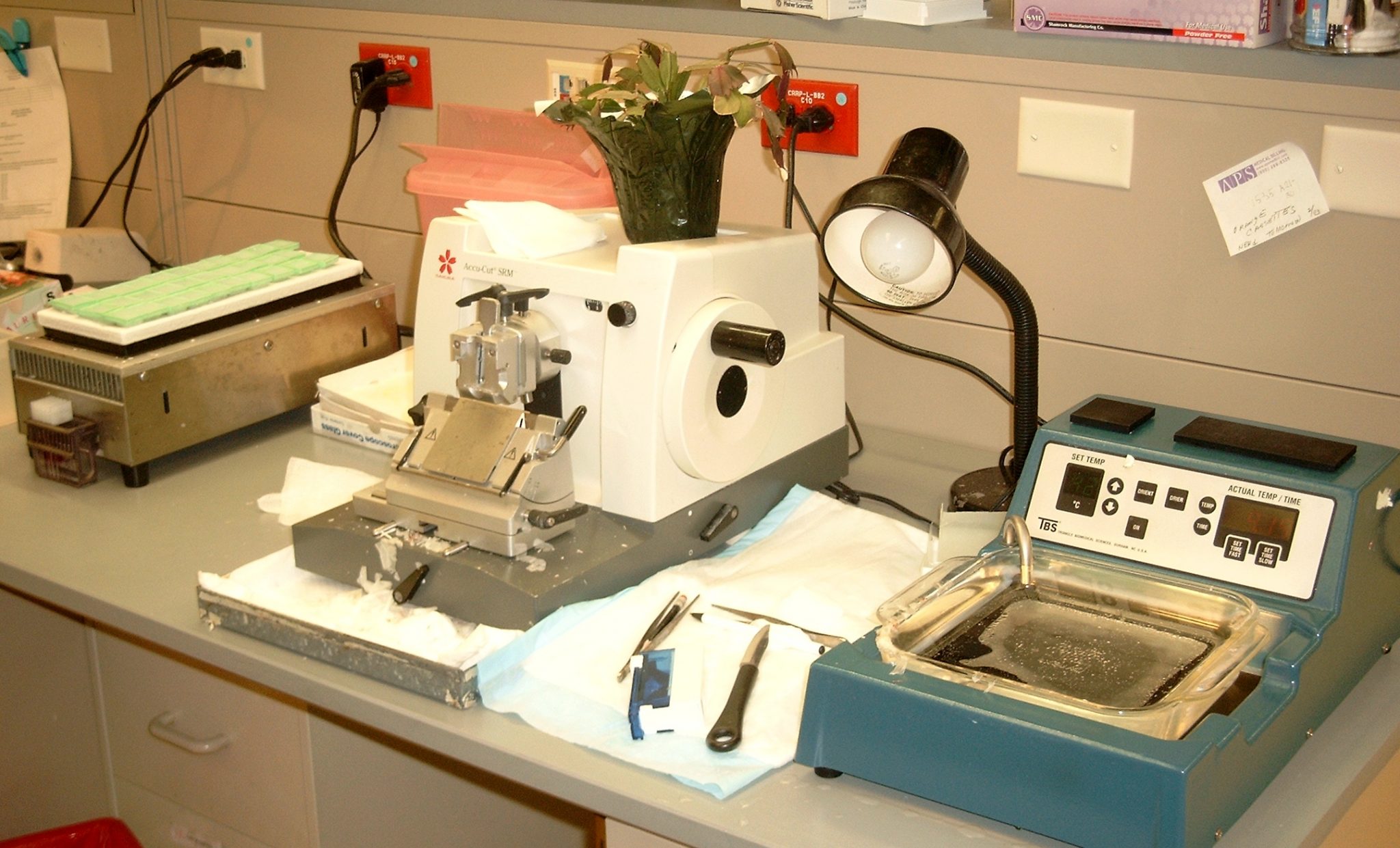 medical laboratory uses AHP-1200CP cold plate for histology